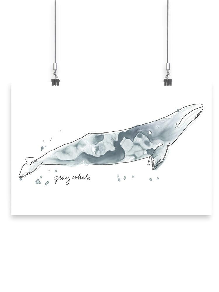 Cetacea Gray. Whale Poster - June Erica Vess Designs, - Walmart.com