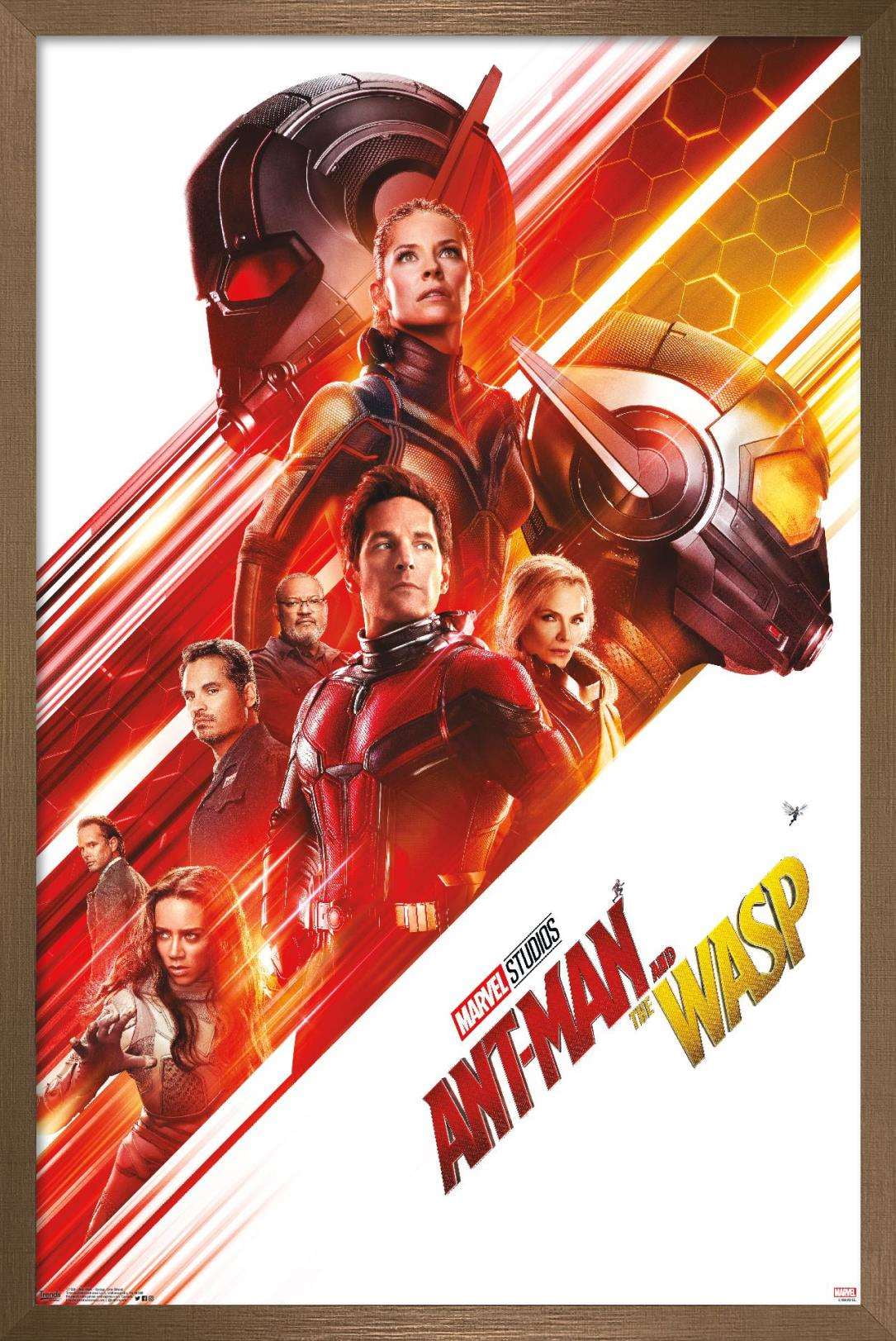 Marvel Cinematic Universe - Ant-Man - Group One Sheet Wall Poster, 14. ...
