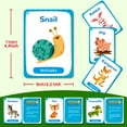SunWMart 50PCS Real Animal Matching Game Cognitive Cards, Educational ...
