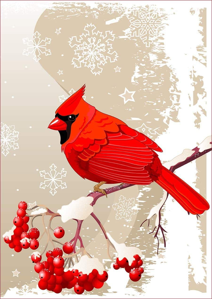 Snow Cardinal Background In Ppt