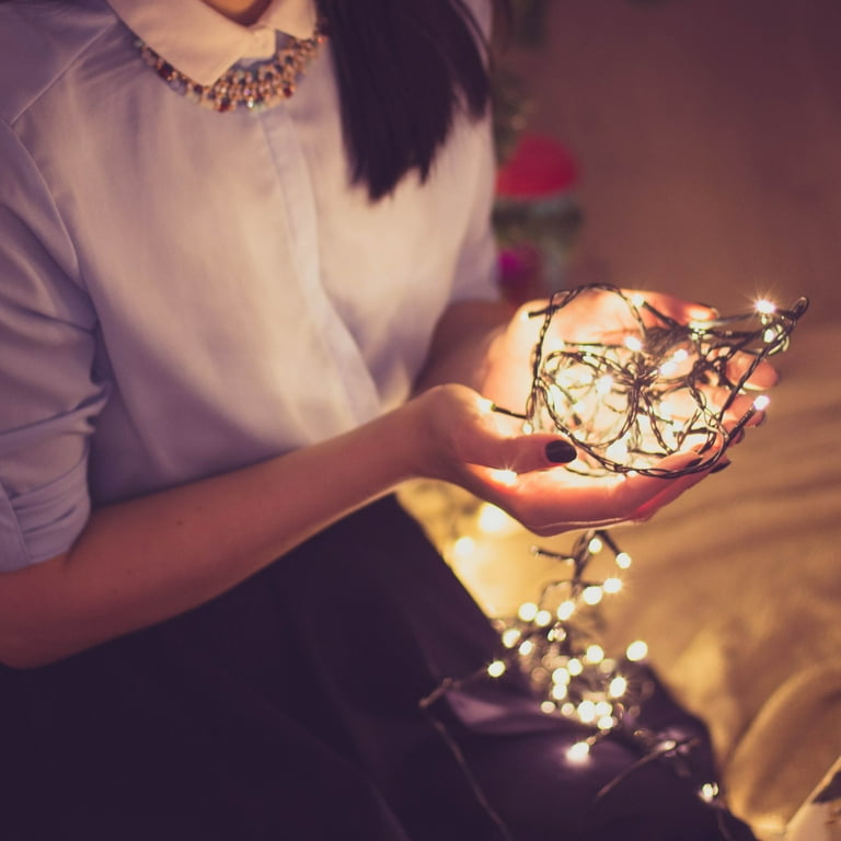 Christmas Light Sequencer Kits | Shelly Lighting