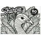 Sharpie Permanent Markers, Limited Ed., 60 Count, Assorted Colors & 1 ...