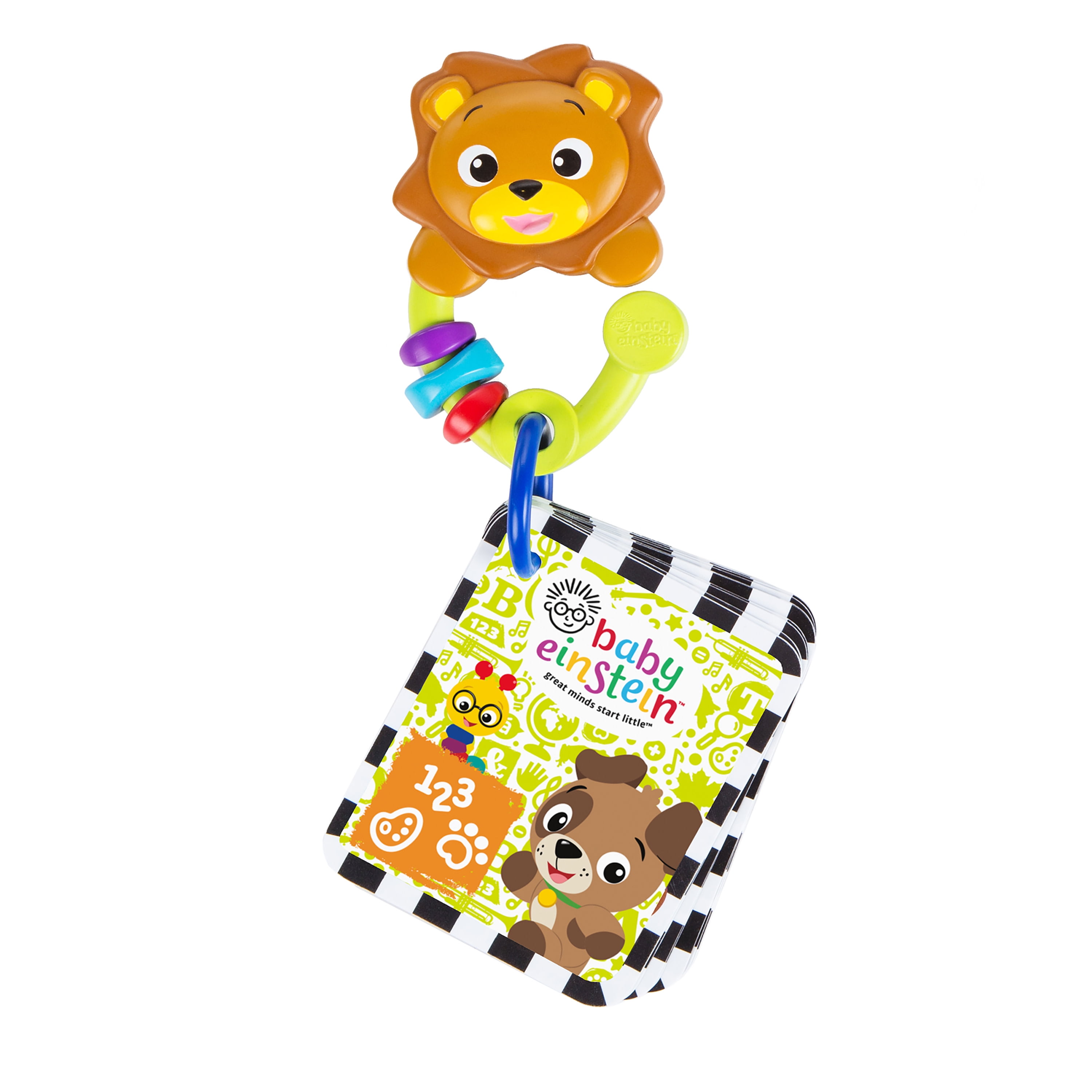 Baby Einstein Animal Discovery Cards