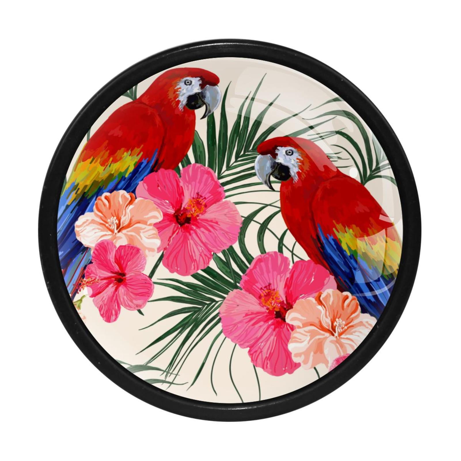 4 Pcs Parrot Knobs for Kitchen Cabinet Cupboard Dresser Bookcase Drawer ...