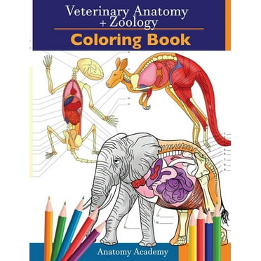 Veterinary Anatomy Coloring Book: Animals Physiology Self-Quiz Color ...