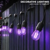 Luxrite 12-Pack S14 Edison LED Purple Light Bulbs 0.5W Colored LED ...