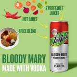 Zing Zang Bloody Mary with Vodka Alcoholic Ready-to-Drink Canned ...