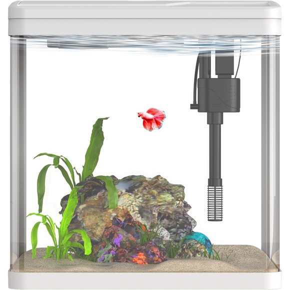 5 Gallon Fish Tank in Fish Tanks - Walmart.com
