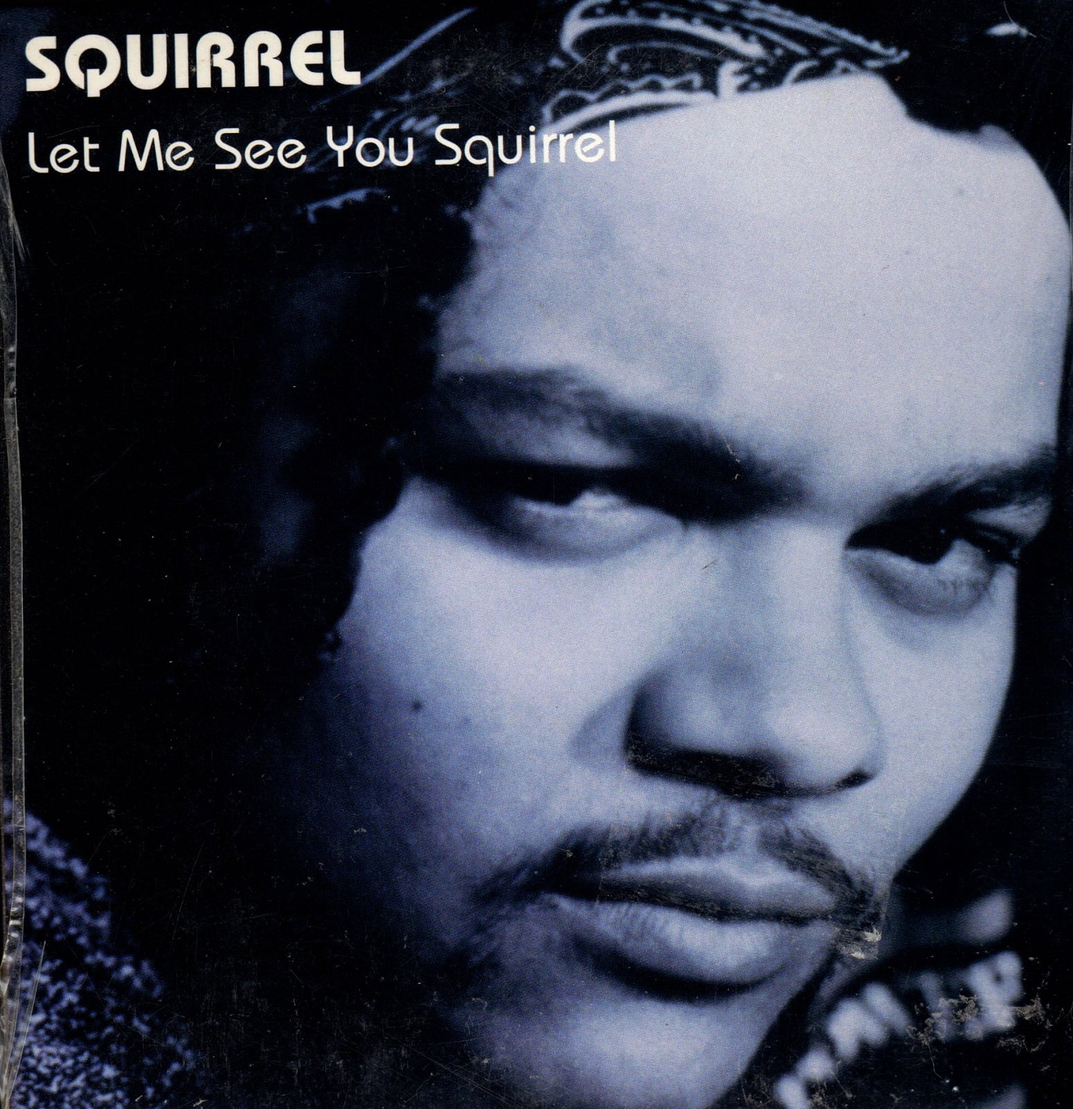Let Me See You Squirrel - Squirrel - Walmart.com