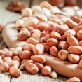 Bulk Hazelnuts With Skins 10 Pound Wholesale Box - Walmart.com