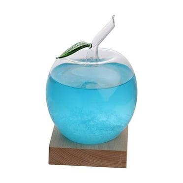 Ambient Weather B1025C Antique Storm Glass Wall Mount Liquid Barometer ...