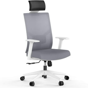 Apollo II Multifunction Swivel Task Chair, High Back with Lumbar Pad ...