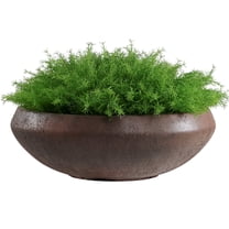 Concrete Bowl Planter, 23.2 Inch Dia x 8 Inch Height, Succulent Pot ...