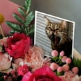 3drose, Tabby Cat Yawn Artistic Portrait Is a Beautiful Cat Yawning., 6 ...