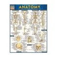 BarCharts Inc. QuickStudy Anatomy Poster Reference Set (9781423230717 ...