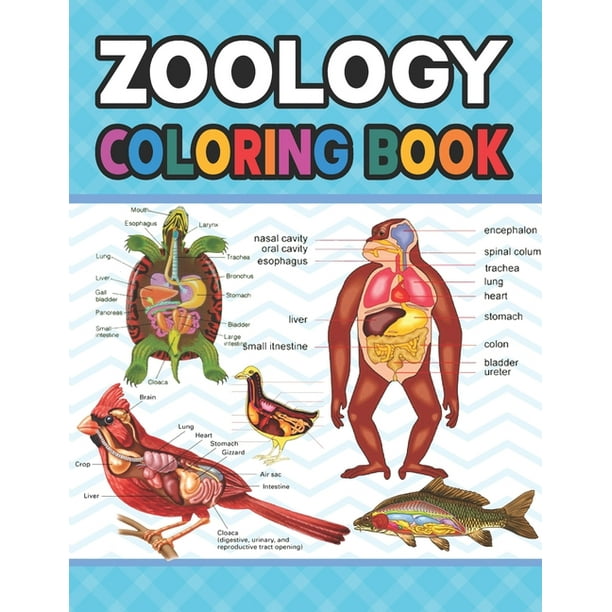 Animal Body Parts Coloring Pages