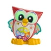 Fisher-Price Linkimals Interactive Musical Learning Owl Toy for ...