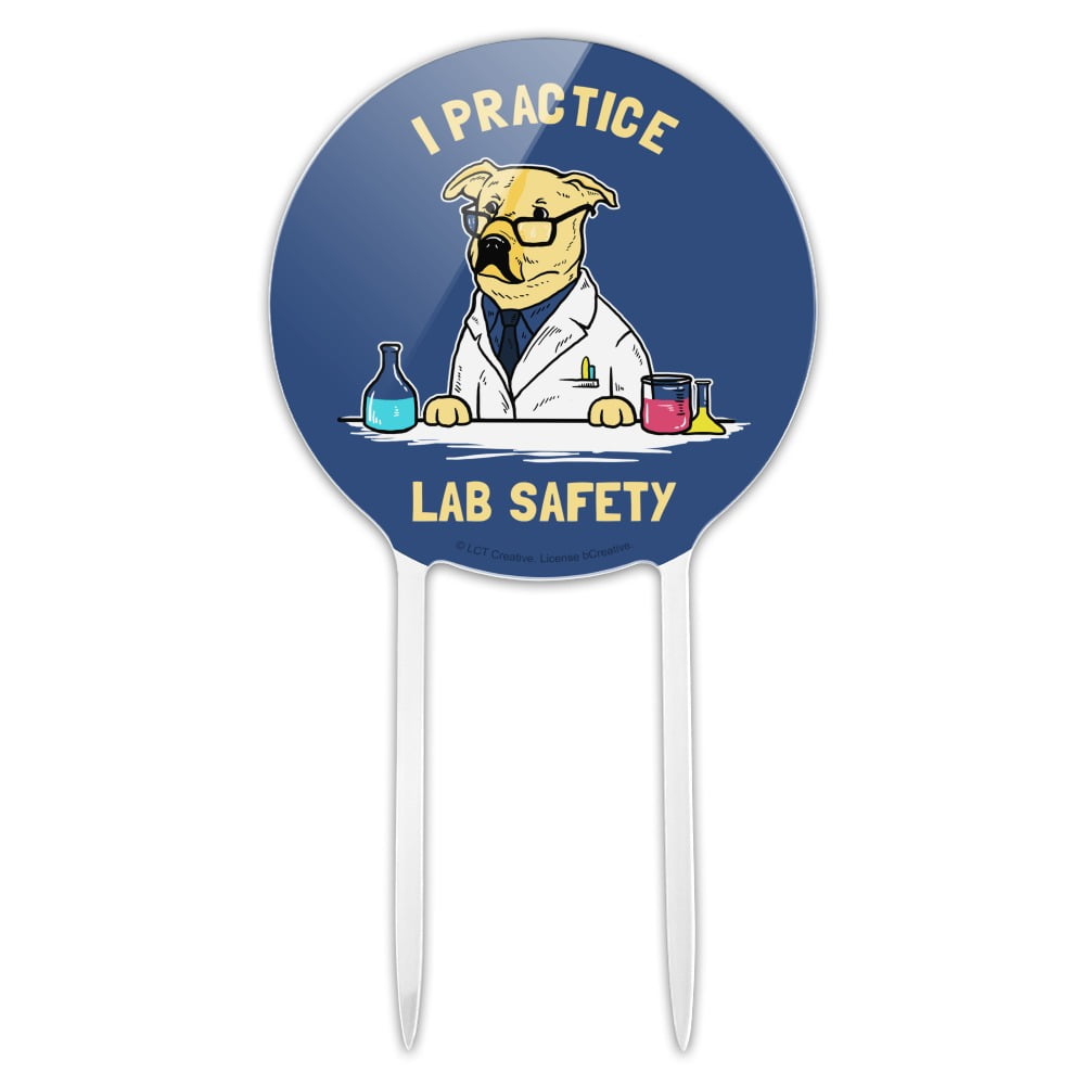 Acrylic I Practice Lab Safety Labrador Retriever Funny Humor Cake ...