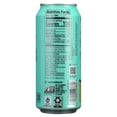 Yachak Yerba Mate Drink, Ultimate Mint, 16 fl oz, 12 Pack Cans ...