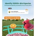 Bird Feeder with Camera, AI Identify Birds & Capture, Live Camera ...