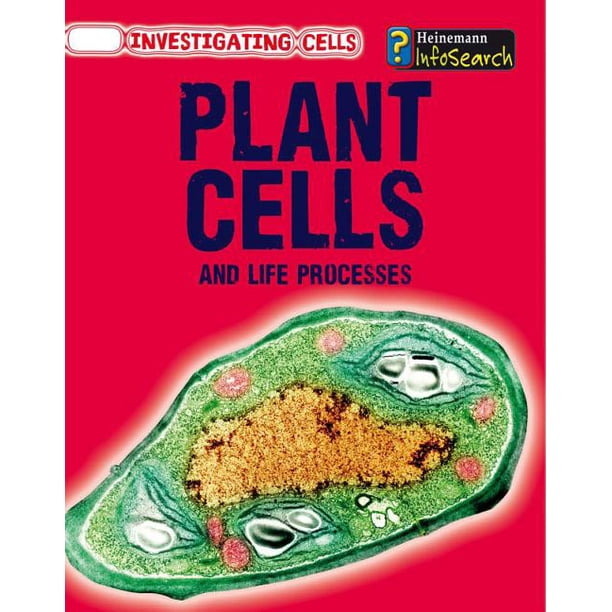 Plant Animal Cells