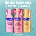 Absolut Vodka Ready to Drink Berry Vodkarita Cocktails, 4 Pack, 12 fl ...