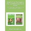 African Bullfrog as Pets: A Complete African Bullfrog Pet Owner's Guide ...