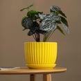 Ceramic Flower Pots,Yellow Plant Pots for Indoor Plants,4.1+5.1+6.5 ...