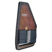 Autoharp Case