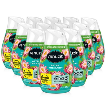 Renuzit Adjustable Solid Gel Air Freshener Cone, Forever Raspberry ...