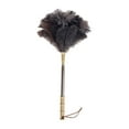 Ostrich Feather Duster with Extension Pole Up to 43 inch, Genuine ...