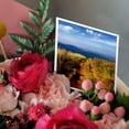 3drose, Road to Nowhere, 6 Greeting Cards with Envelopes - Walmart.com
