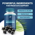 Prostapure Prostate Supplement for Men- Prosta Pure Capsule Advanced ...