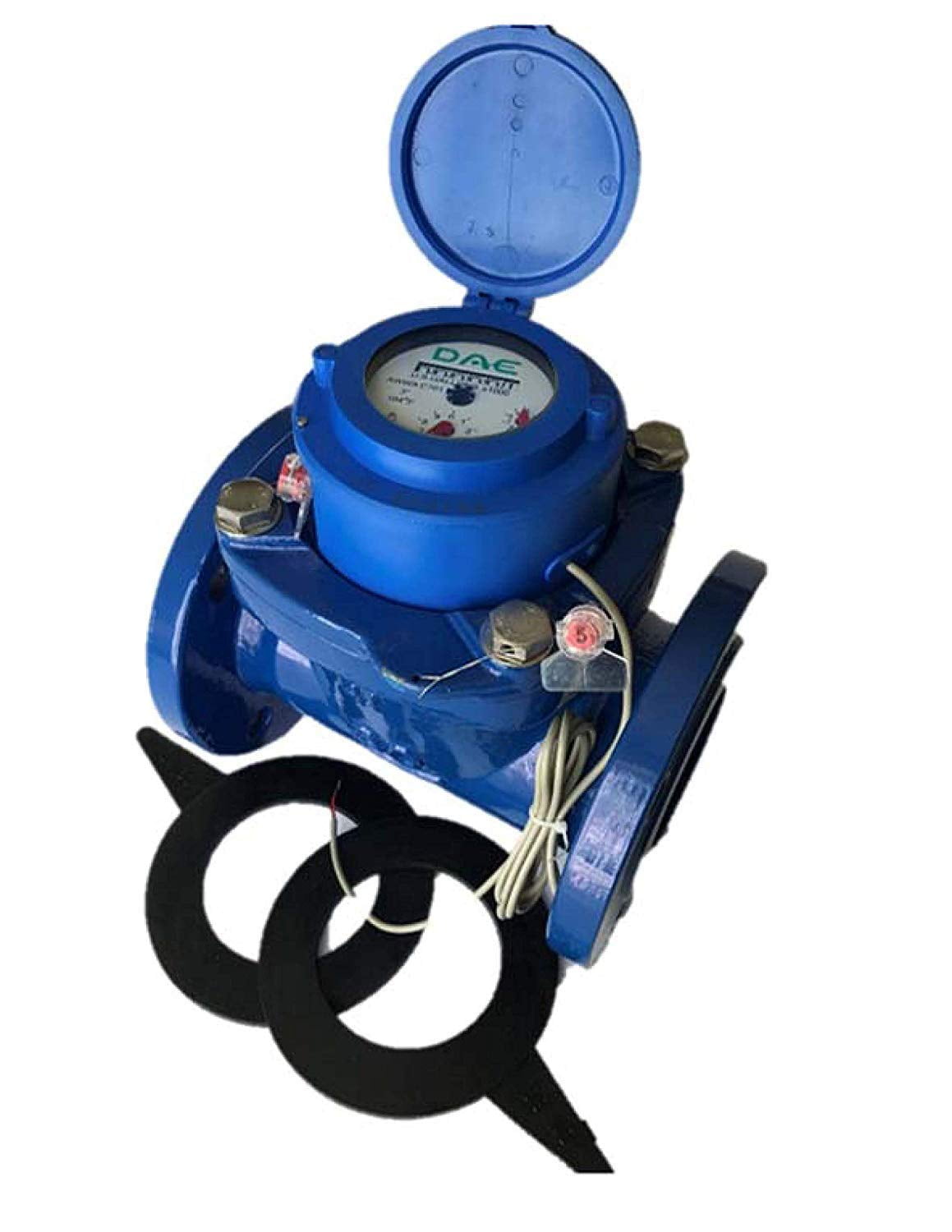 DAE WP-200P 2" Woltmann Helix Water Meter, Pulse Output, Gallon ...