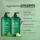 Botanic Hearth Tea Tree Shampoo and Conditioner Set, 100% Pure Tea Tree ...