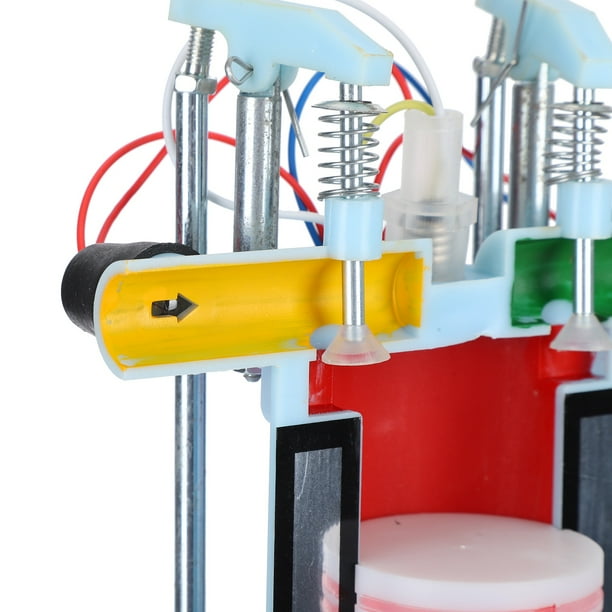 Mini Gasoline Engine Model, 4-Stroke Internal Combustion Engine Model ...