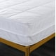 "Permafresh Bed Bug and Dust Mite Control Water-Resistant All-In-1 ...