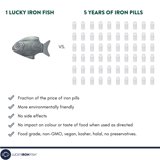 Lucky Iron Fish® Cooking Tool Adds Iron to Food. Reusable for 5 Years ...