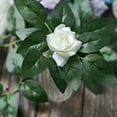 Efavormart 100 Pack | Green Bulk DIY Artificial Craft Rose Flower Leaves, Vase Filler Greenery ...