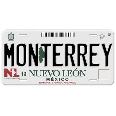 Playa del Carmen Quintana Roo Mexico Novelty Car License Plate ...