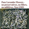 The Spice Way Lavender Flowers Dried Buds for Tea Culinary Use 2 oz ...