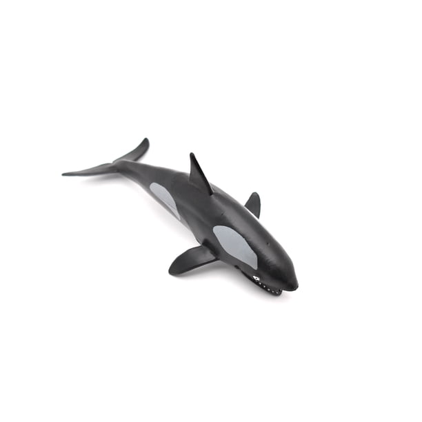 Orca, Killer Whale, Very Nice Solid Rubber Replica 6" - OK03-B611 (1 ...