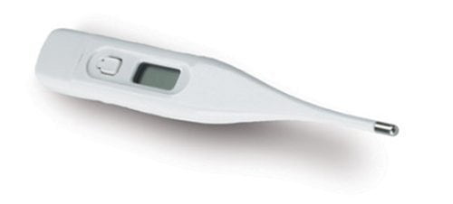 Apex Digital Thermometer - Walmart.com