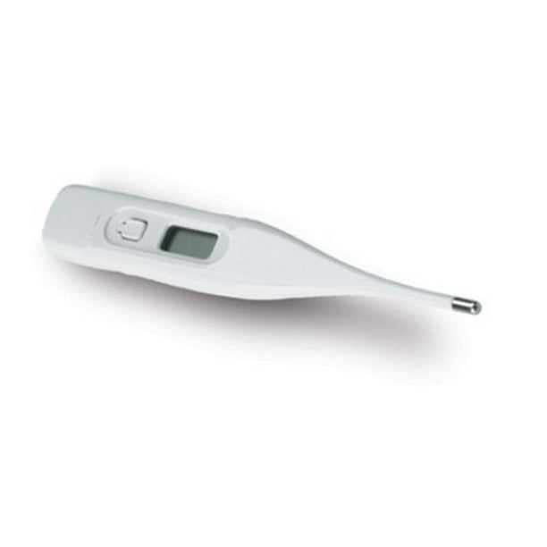 Apex Digital Thermometer - Walmart.com