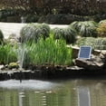 AEO Solar Water Pump KIT: DC Brushless Submersible 196GpH Pump with 18V ...