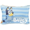 Bluey Reversible Pillowcase 1 Pack Double Sided Kids Pillow Cover, Blue ...