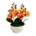 Artificial Phalaenopsis Orchid Potted Plant Realistic Silk Orchid with ...