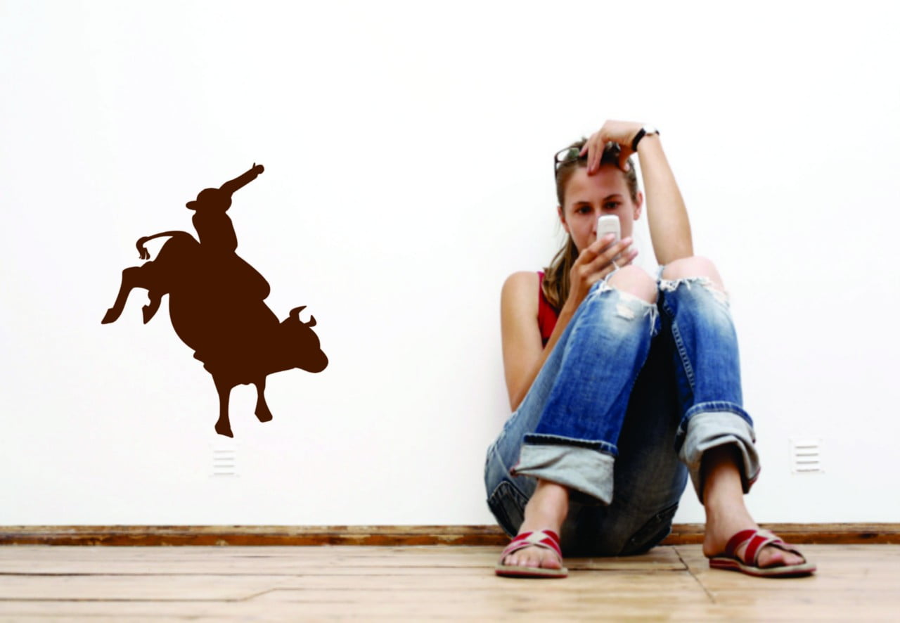 Wall Decal Bull Rider Cowboy Cowgirl Chaps Rodeo Horse Bull Ster Roper ...