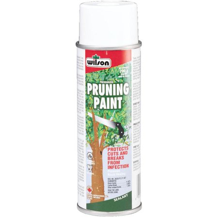 200g Pruning Paint Protective Spray | Walmart Canada