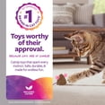 SmartyKat Mousy Mayhem 2-Piece Compressed Catnip Mice Cat Toys Pink ...